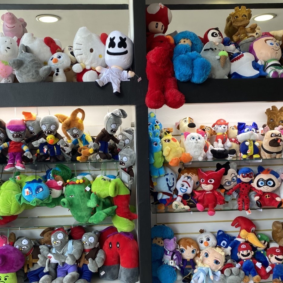 Encuentra todo sobre Wonder Kids 🙌 | KIDSin