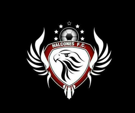 Halcones FC | KIDSin 2025